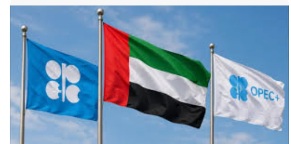 «جيه بي مورغان» يتوقع جذب الإمارات لاستثمارات أمريكية أكبر مع زيادة ...