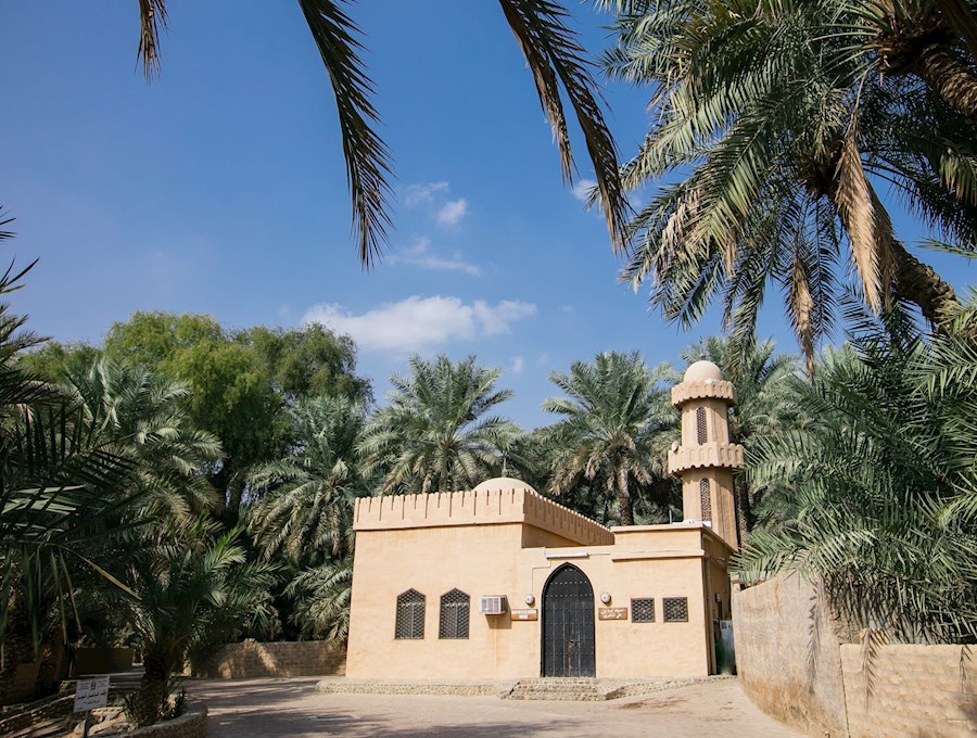 صحيفة الخليج الإماراتية | واحات الإمارات.. ملاذات ساحرة لجمال الطبيعة ...