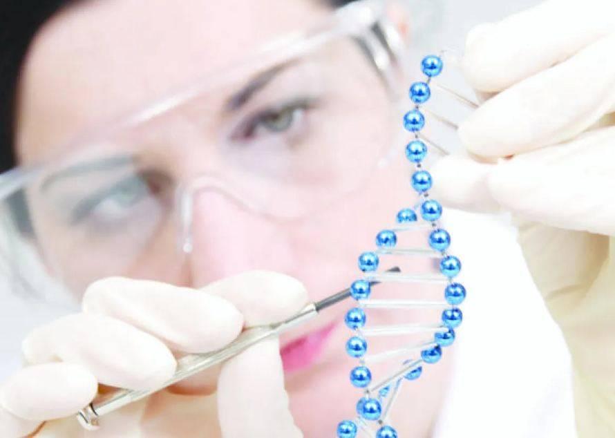 جائزة الشيخ منصور بن زايد للتميز الزراعي.. منصة لدعم الابتكار | صحيفة ...