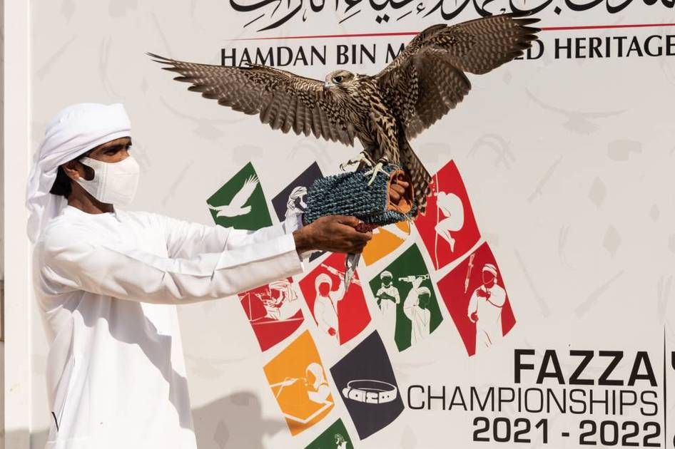Fazza Championship for Falconry exceeds the barrier of 2000 birds – Archyde