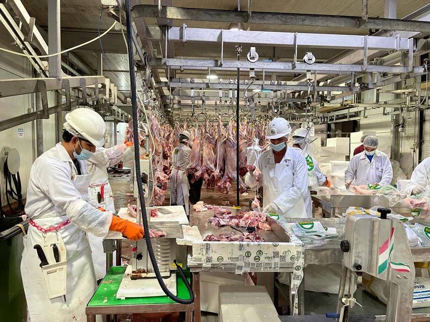 4110 sacrifices received by Abu Dhabi slaughterhouses on the second day ...