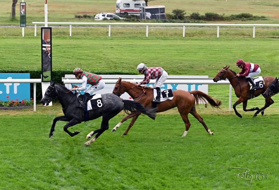 «نمر» يبحث عن لقب كأس الوثبة في فرنسا | صحيفة الخليج