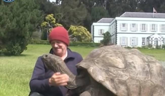 جوناثان.. سلحفاة تتخطى 191 عاماً | صحيفة الخليج