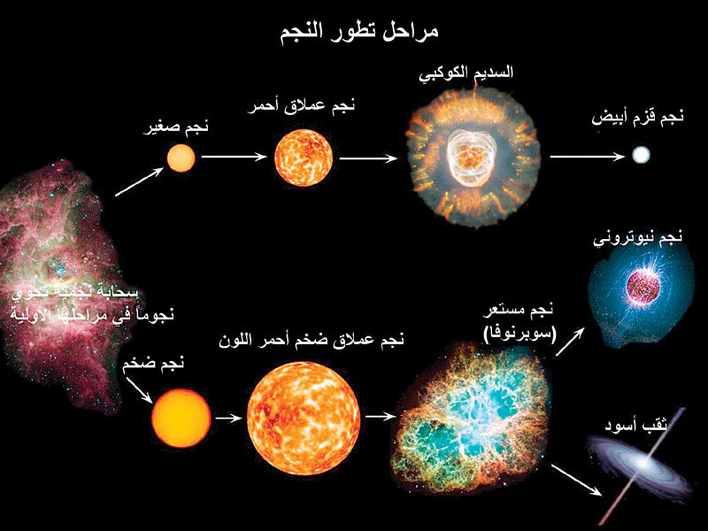 النجوم تتحول إلى أجسام حمراء عند نفاد وقودها | صحيفة الخليج