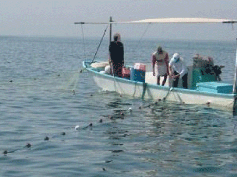 صيد الأسماك بأبوظبي يفوق حد الاستدامة بخمسة أضعاف | صحيفة الخليج